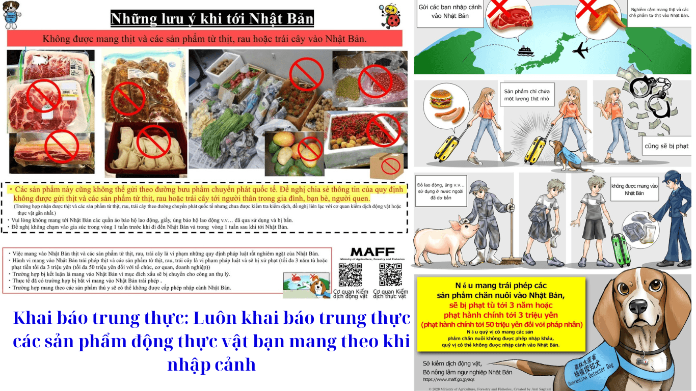 Những lưu ý và hướng dẫn chi tiết cho học sinh chuẩn bị nhập cảnh Nhật Bản - Trung Tâm Tiếng ...